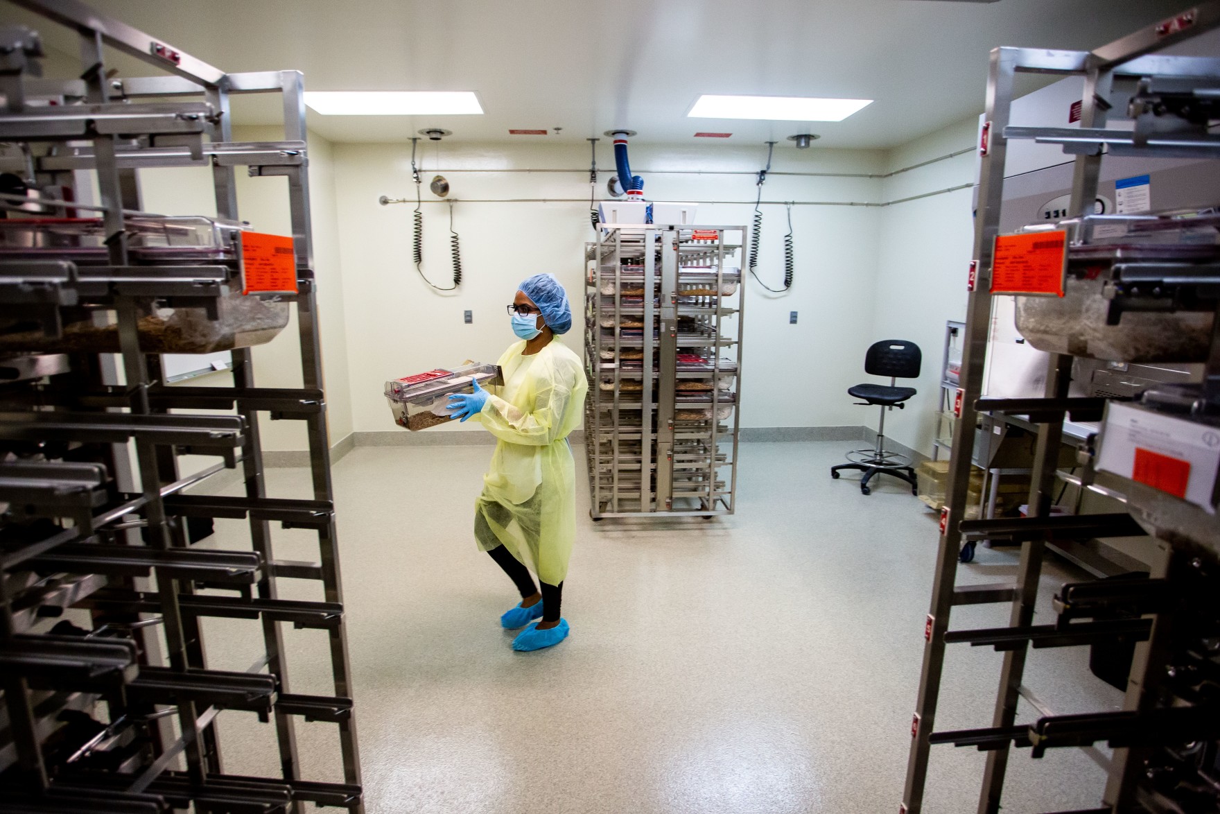 Meet The Lab Mice Helping Scientists Find A COVID-19 Vaccine | Texas ...