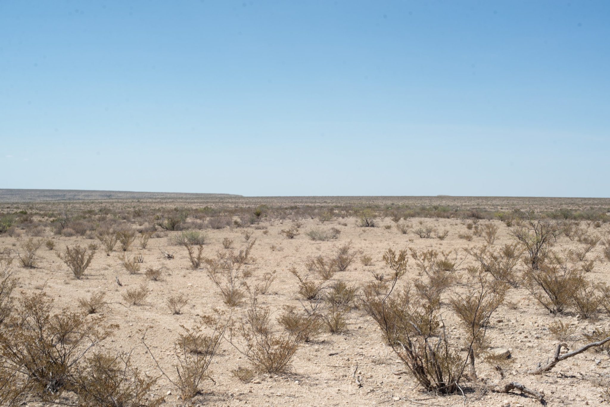 As droughts continues across the state, Texas ranchers try to keep up ...