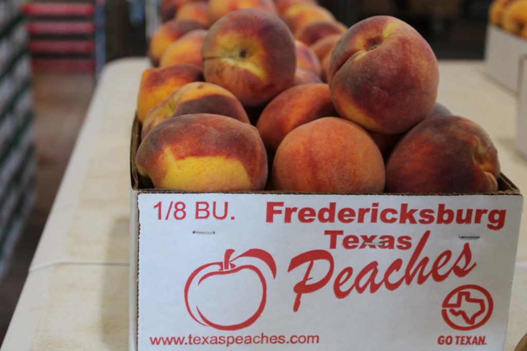 This is what it takes to run a Hill Country peach orchard | Texas Standard
