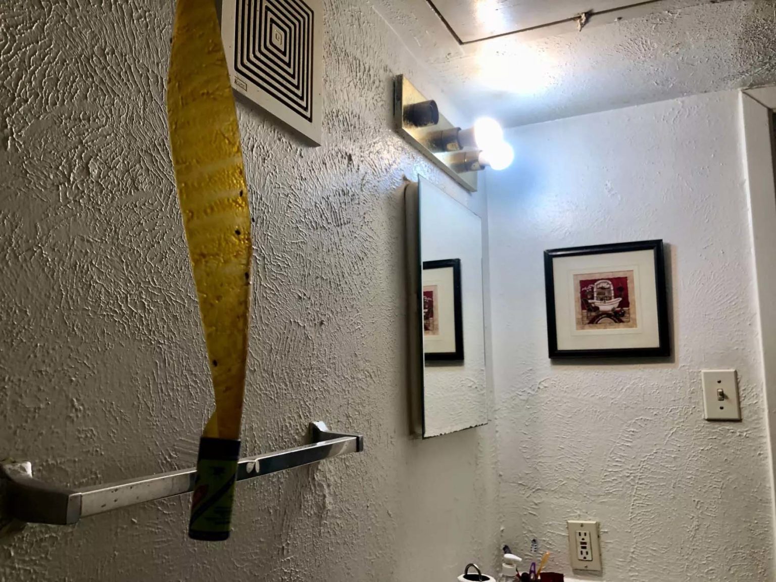 Southern Dallas apartment complex residents grapple with bug ...