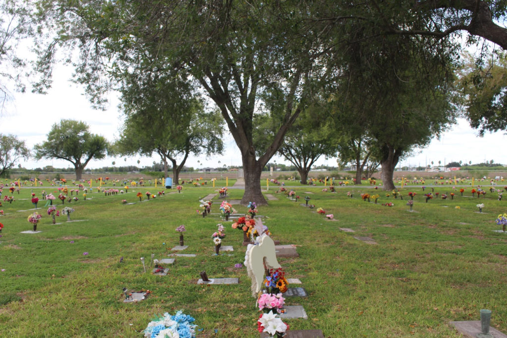 Committee meant to help South Texas colonias has gone unformed, without ...