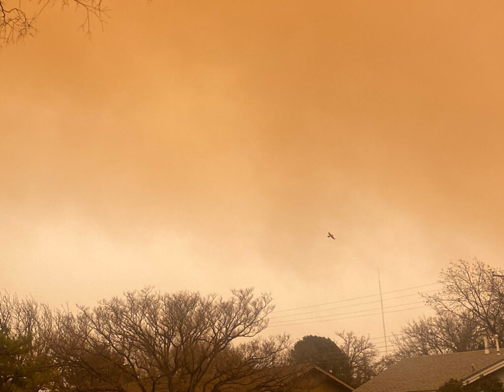Texans may have noticed dusty skies over the last few days. High winds ...