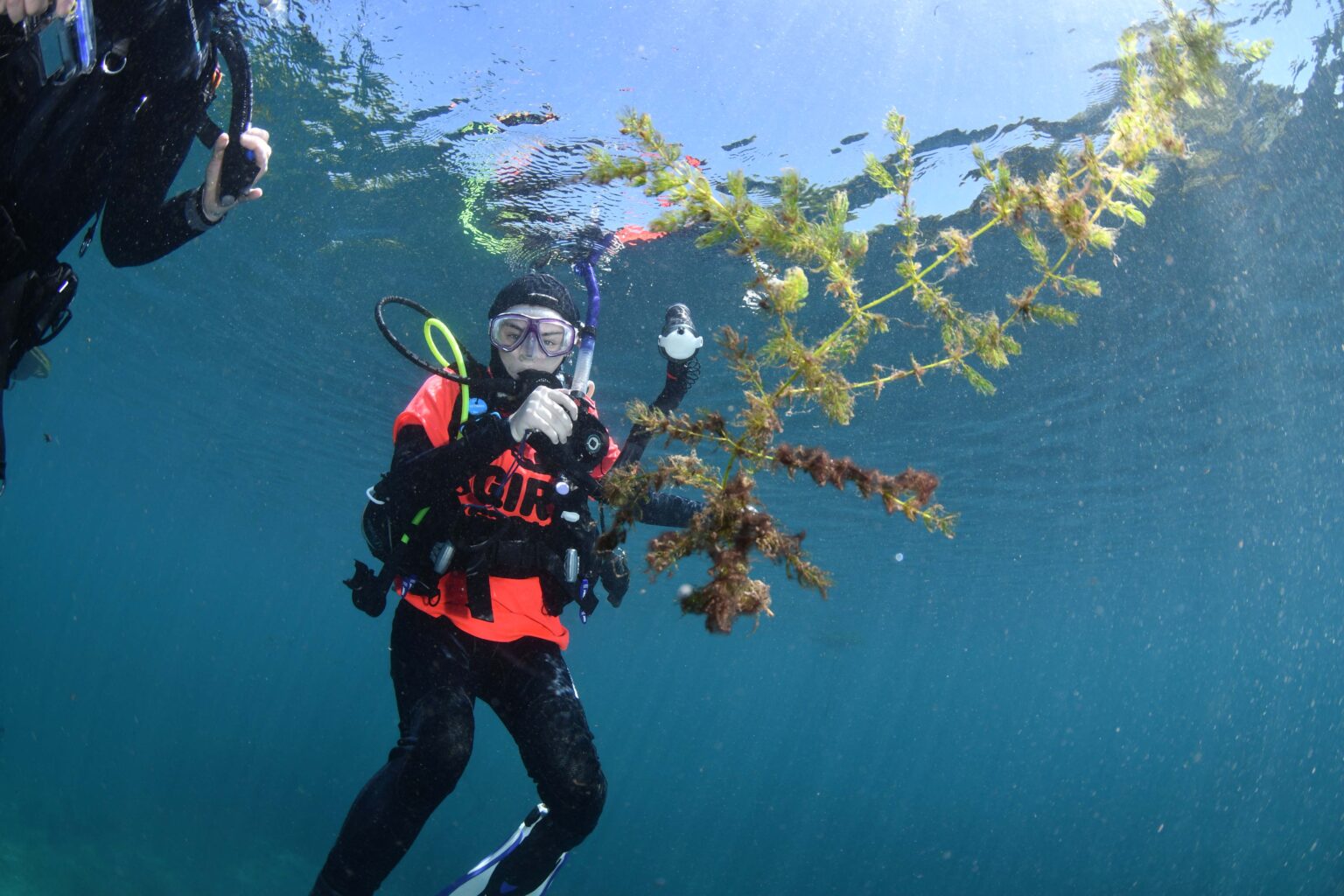 These Texas Girl Scouts take their troop underwater ‘to make the world ...