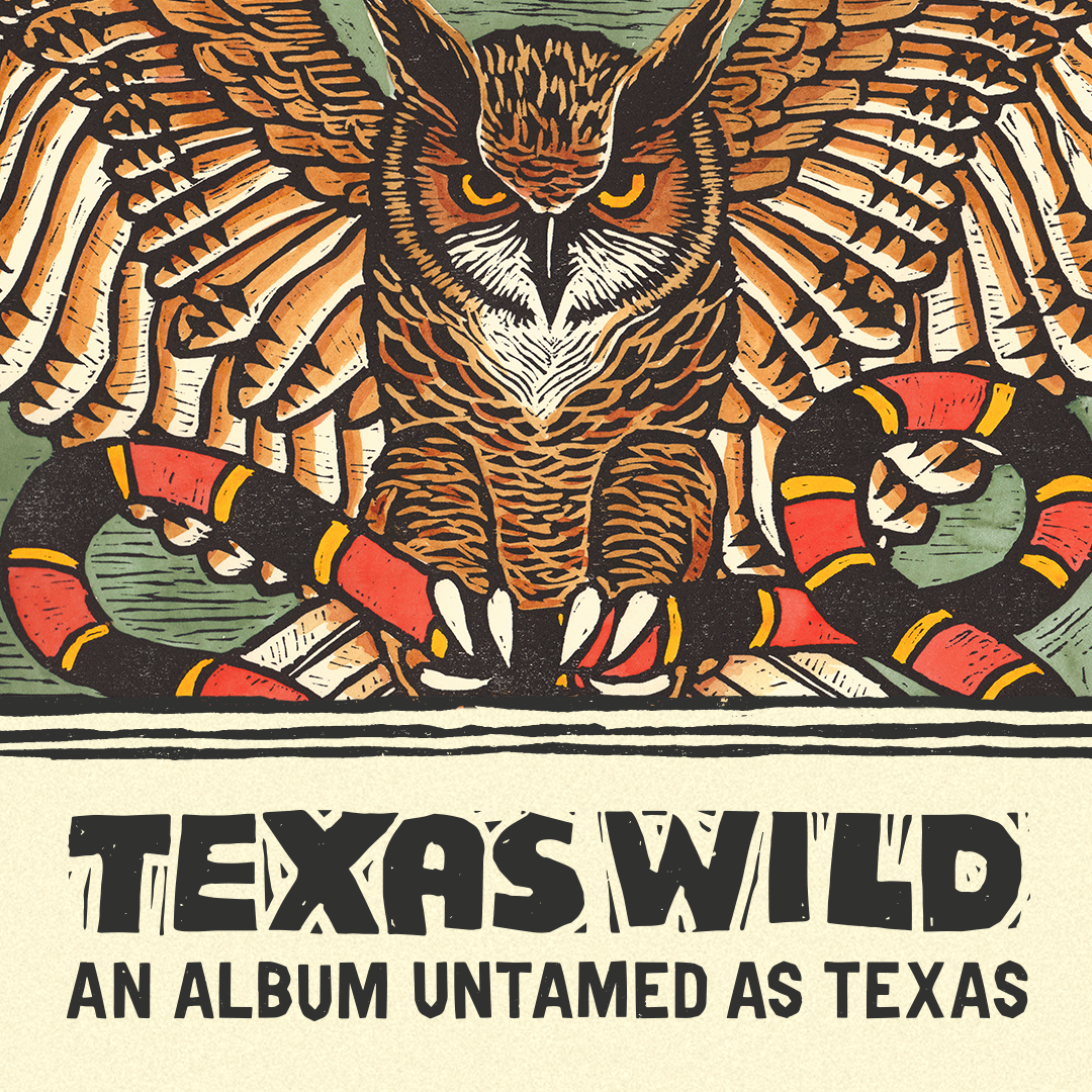 Texas parks meets Texas music: New album ‘Texas Wild’ celebrates 100 ...