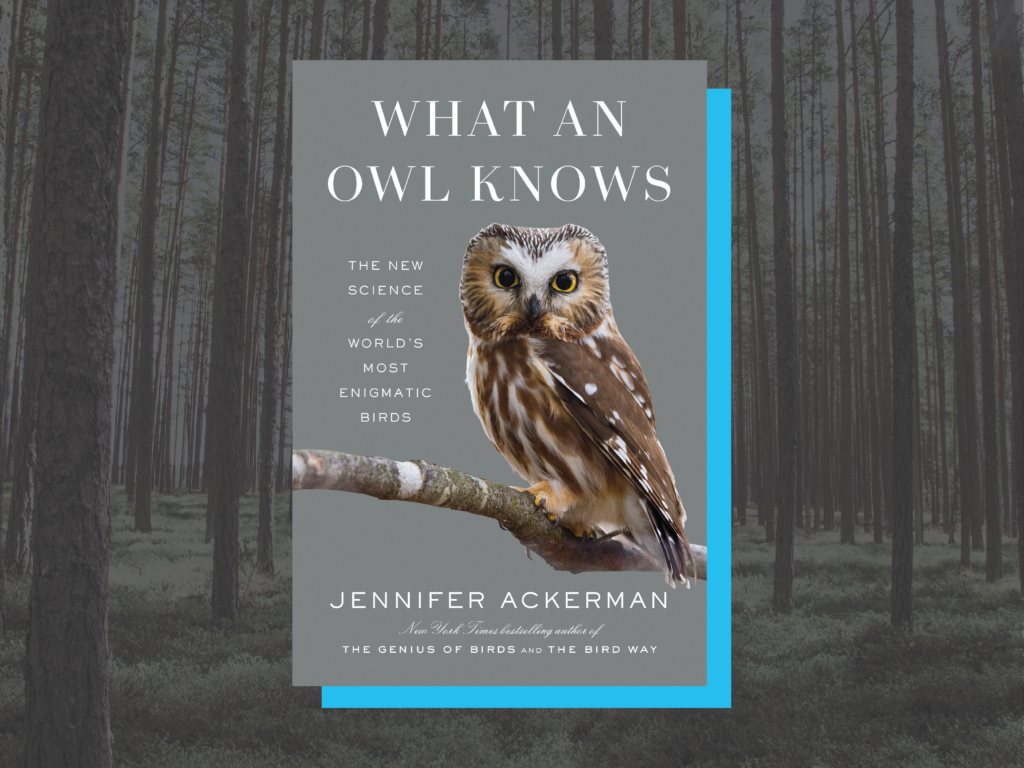 New book gives bird’s-eye view of the secrets and lore surrounding owls ...