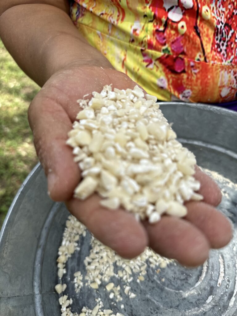 The cross-border cultural heritage of Black Seminoles can be found in ...
