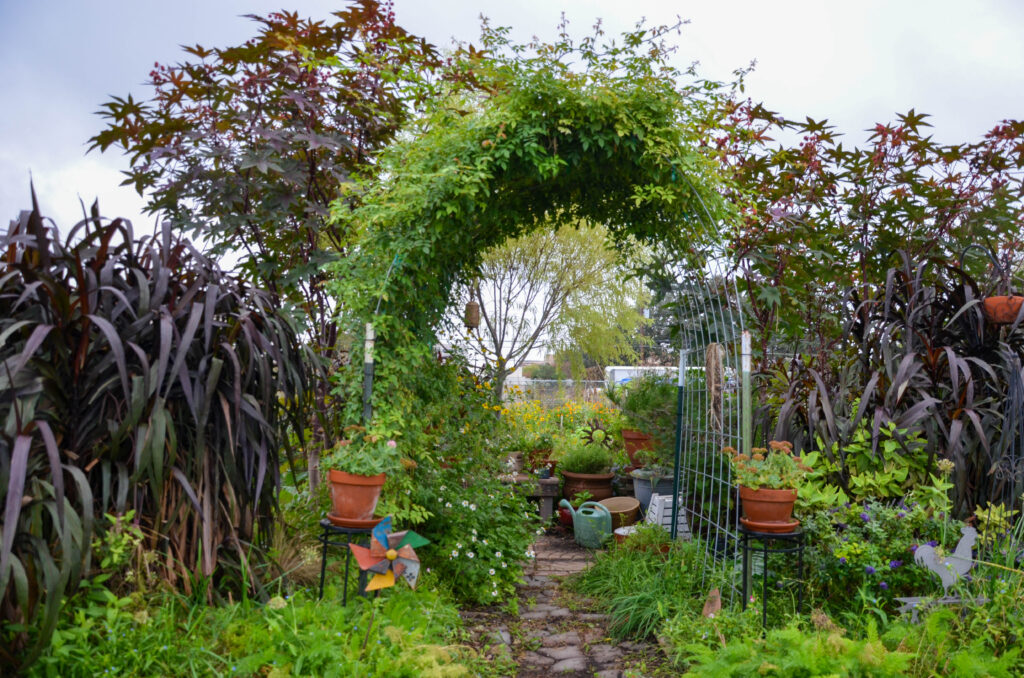 Austin’s Sunshine Community Gardens provides a space for everyone to ...