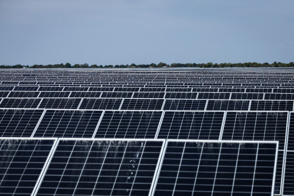 Recapping the biggest wins for Texas’ environment in 2023 | Texas Standard